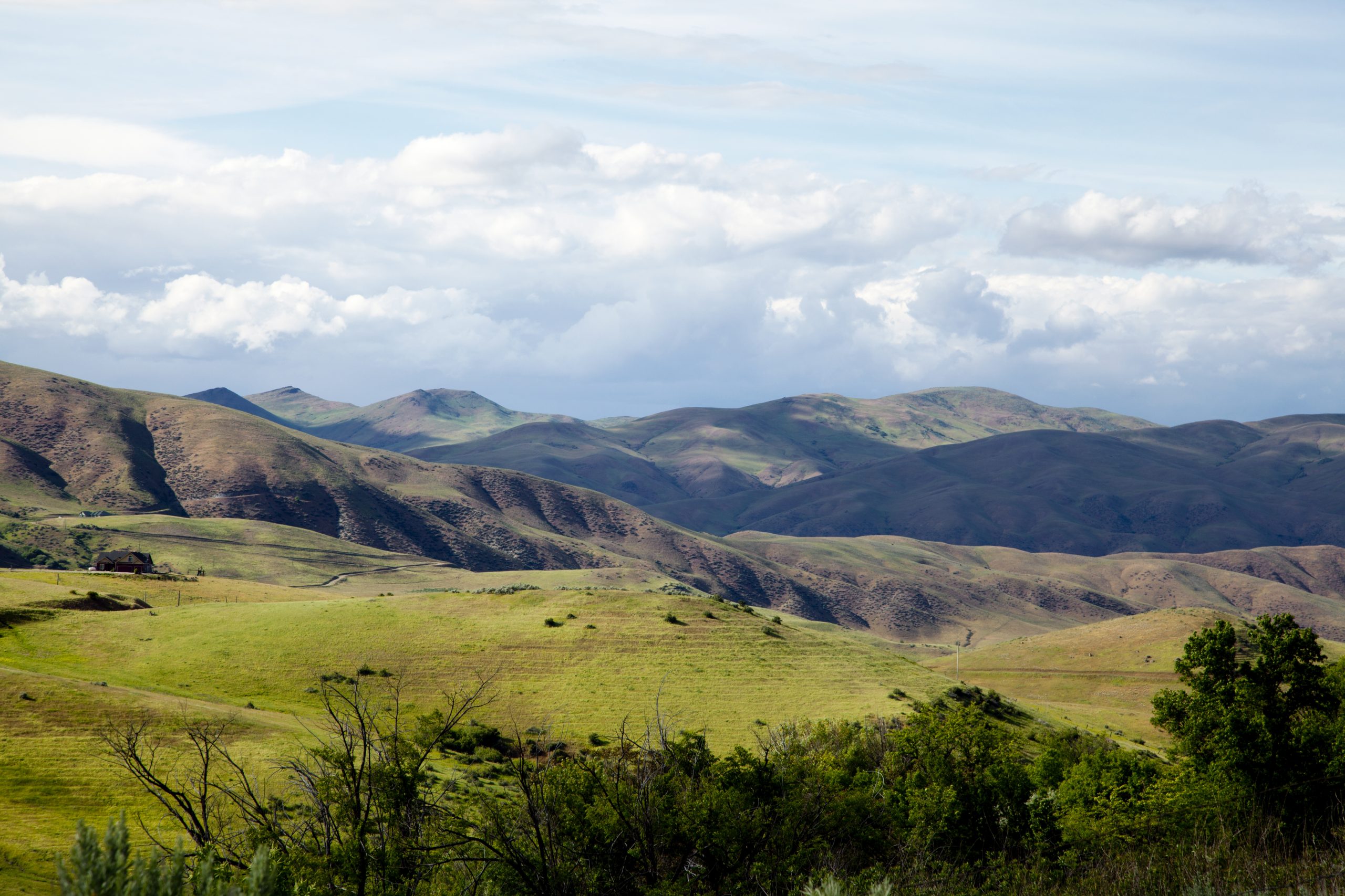 Protein Manufacturing: 3 Benefits of Native Whey Protein - Pronativ